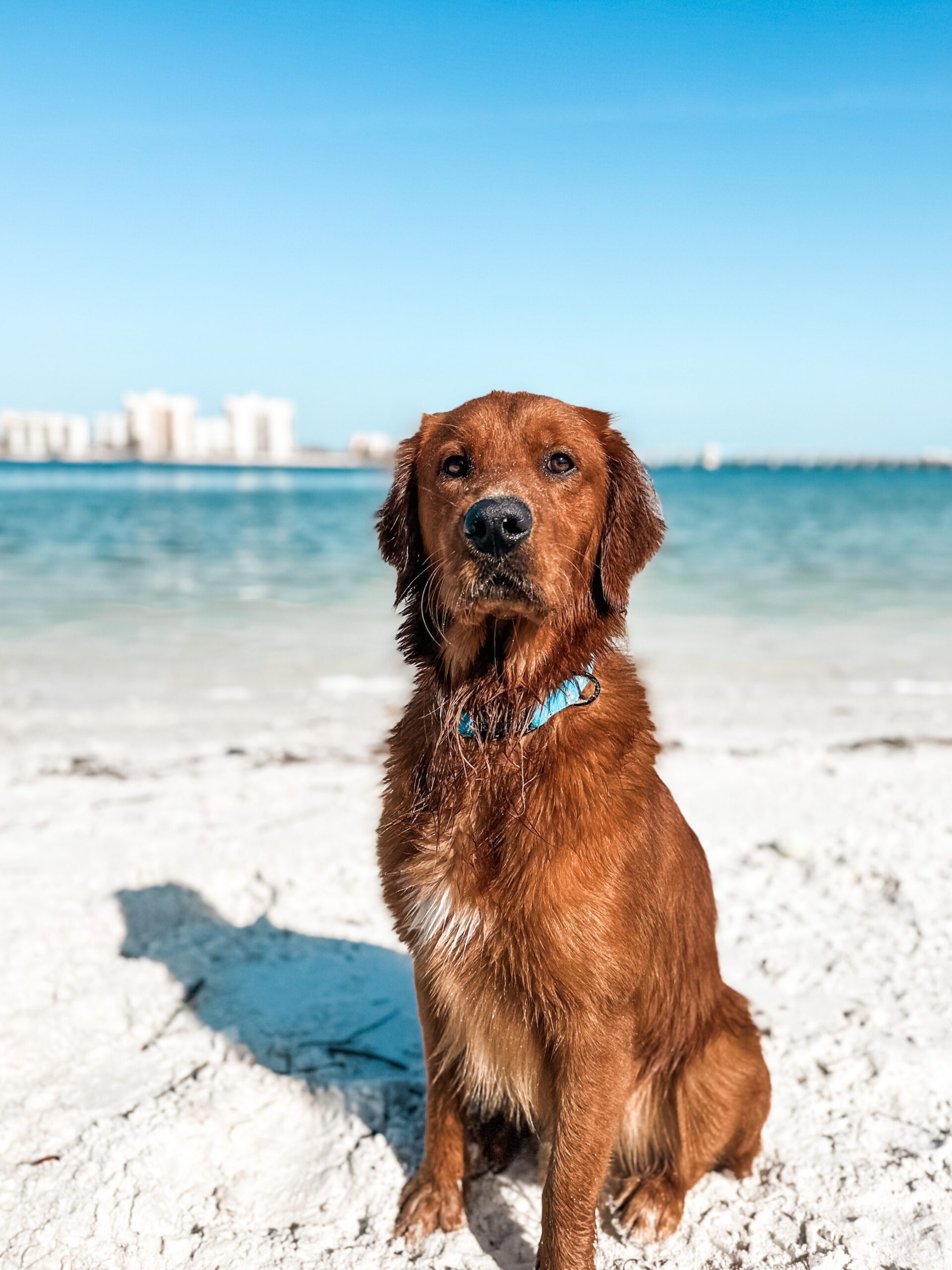 STAFF SPOTLIGHT: Q & A with Physician Assistant, Kristin C. Beal PA-C ...